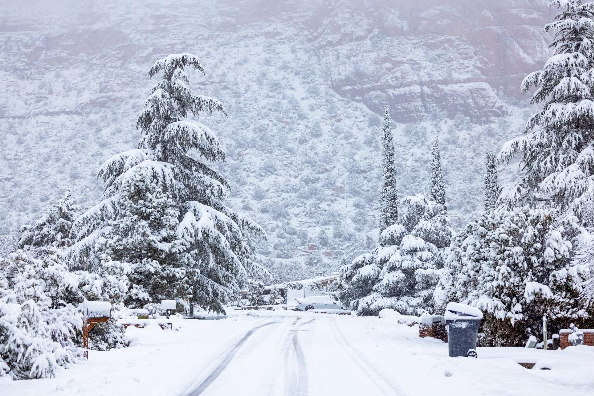 Tormenta de nieve: qué es, cómo se forma, dónde hay y consecuencias ...