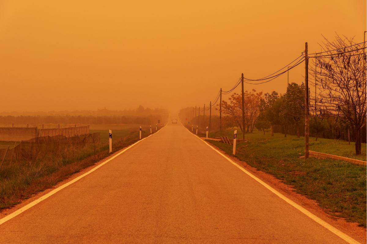 Calima: qué es, cómo se forma y efectos - Resumen