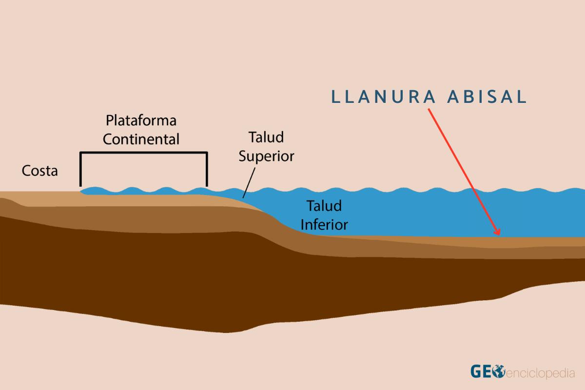 Llanura abisal: qué es, características y vida - Resumen