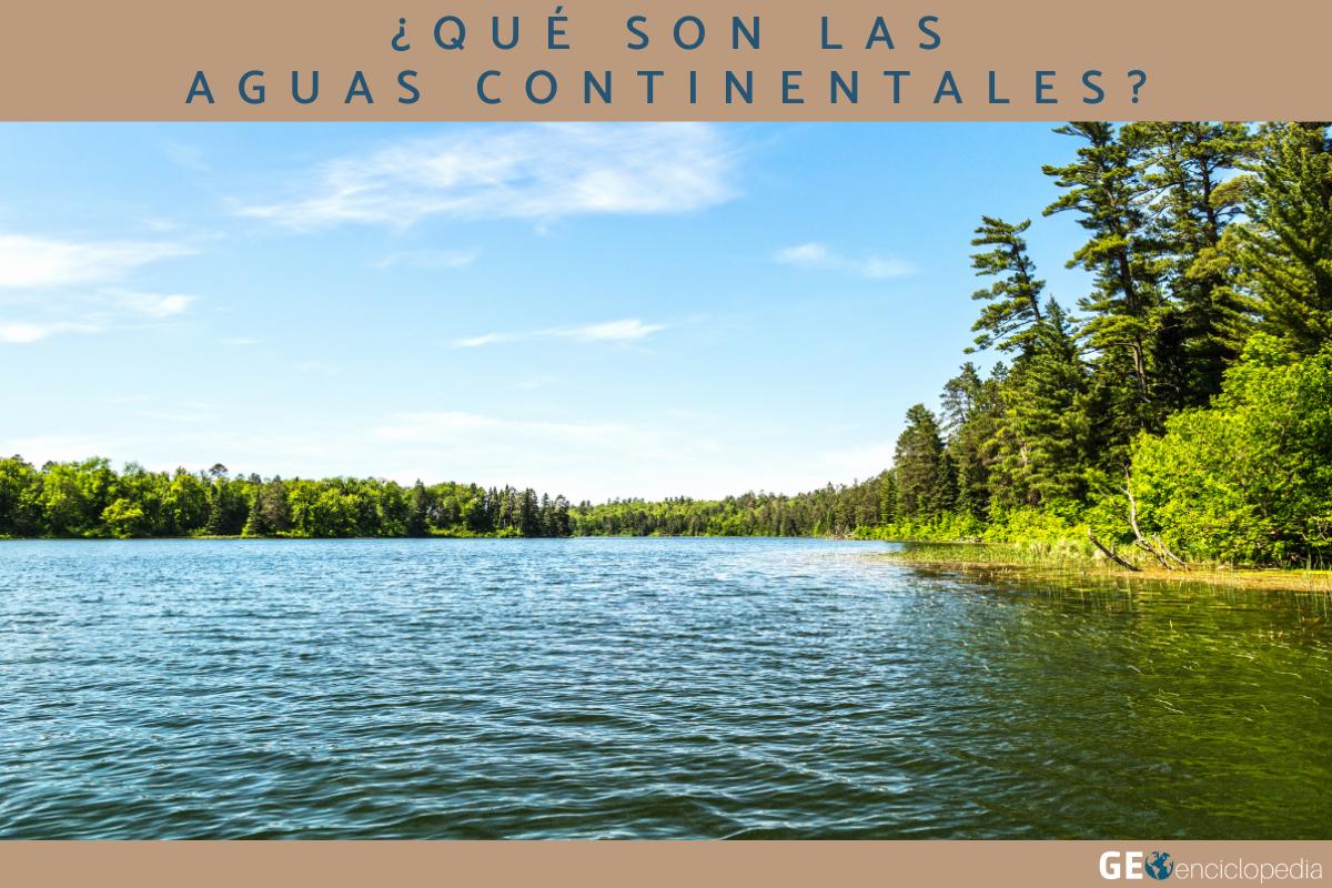Aguas continentales: qué son, tipos, características, distribución y dinámica - Resumen