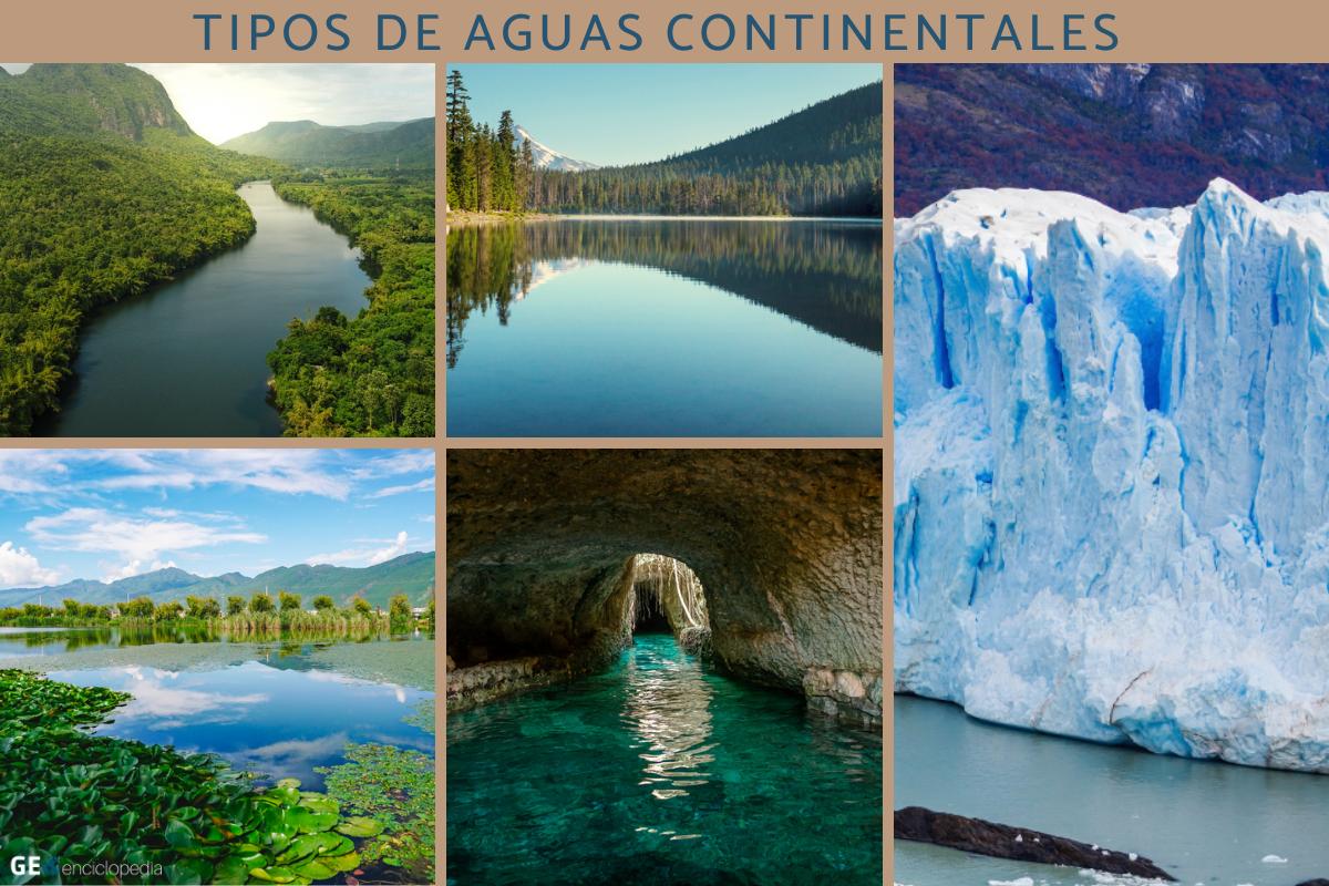 Aguas continentales: qué son, tipos, características, distribución y dinámica - Resumen