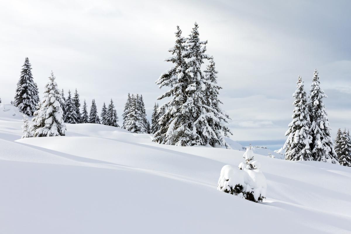 Nieve: qué es, cómo se forma y tipos - Resumen