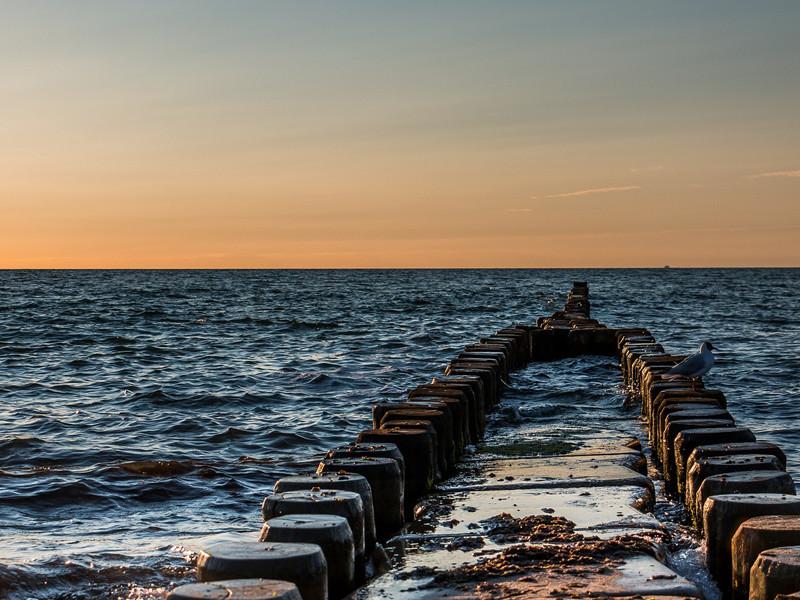 Mar Báltico - Características, biodiversidad y amenazas