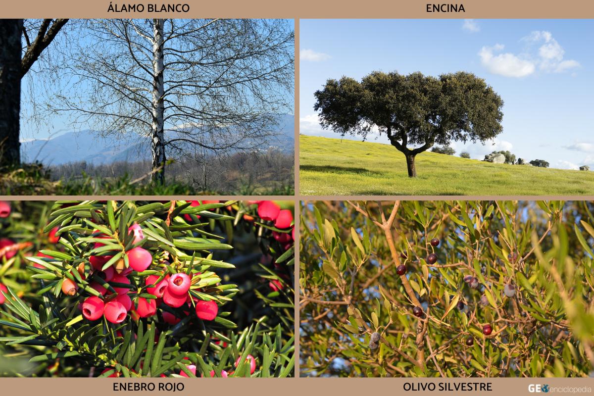 Río Ebro - Mapa, nacimiento y desembocadura