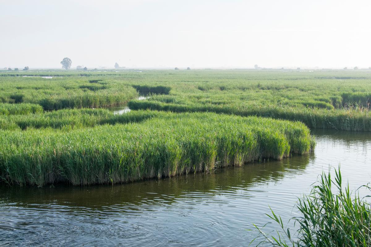 Río Ebro - Mapa, nacimiento y desembocadura