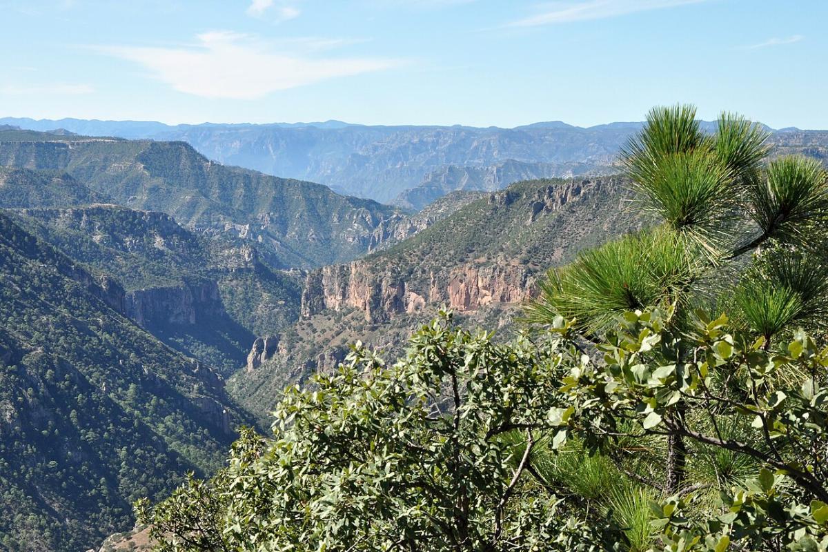 Climas de México: cuáles son y características - Mapas y resumen