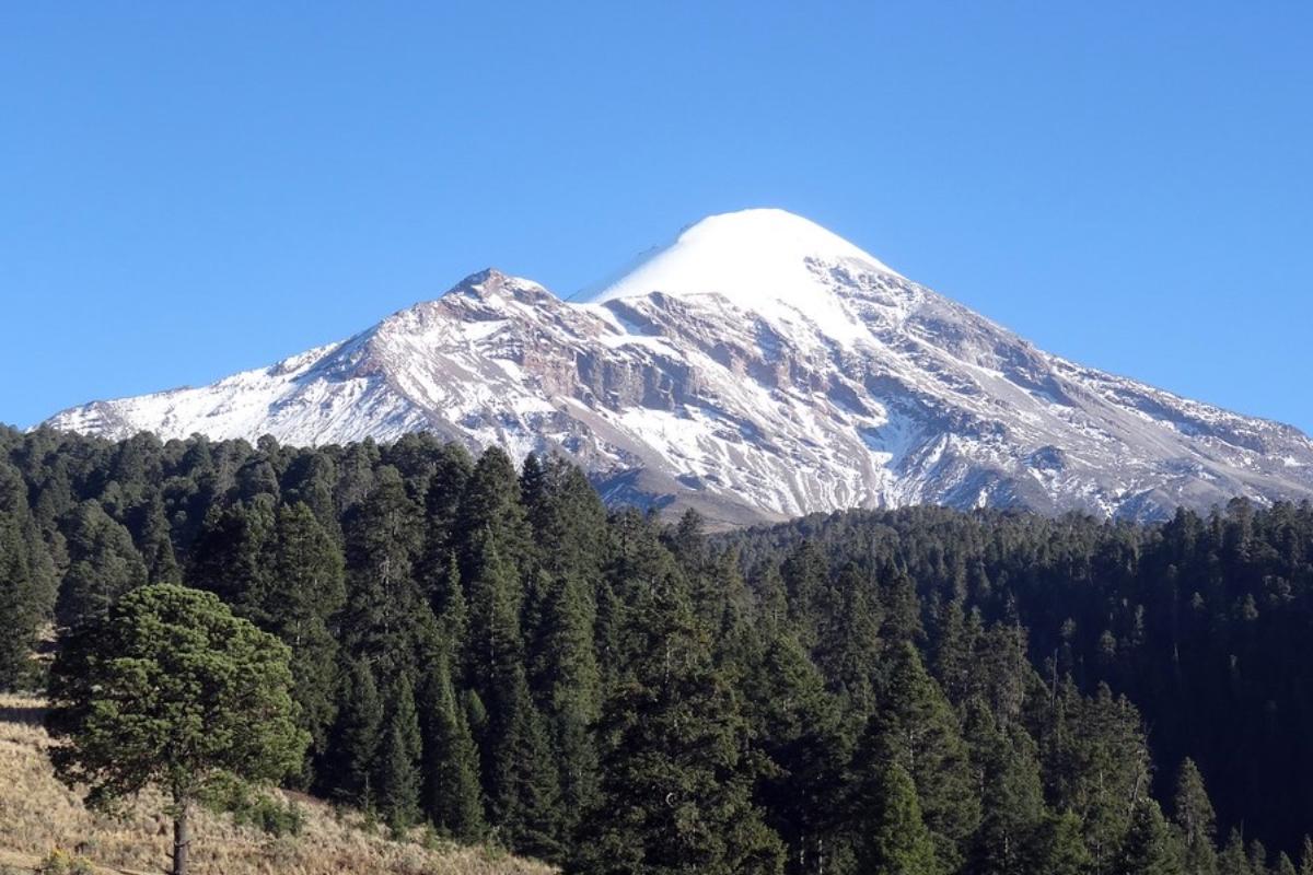 Climas de México: cuáles son y características - Mapas y resumen