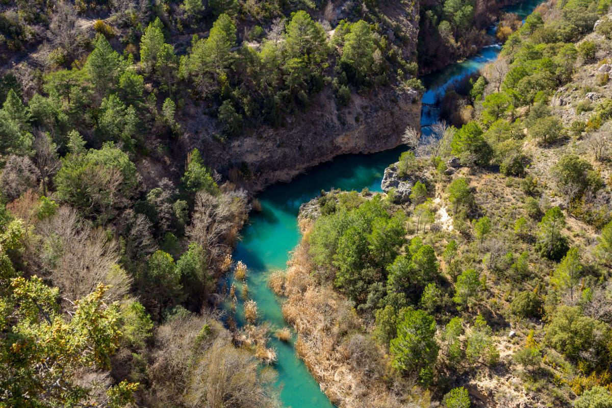 Río Júcar - Características, historia, flora y fauna