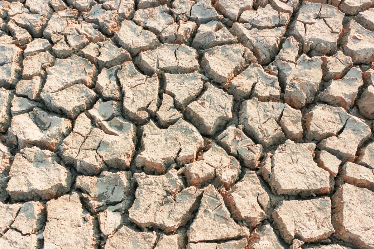 Degradación del suelo: qué es, causas y consecuencias - Resumen