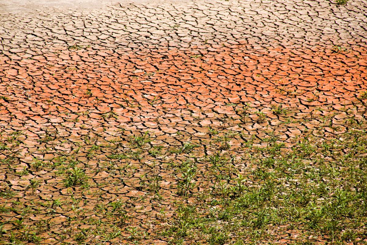 Degradación del suelo: qué es, causas y consecuencias - Resumen