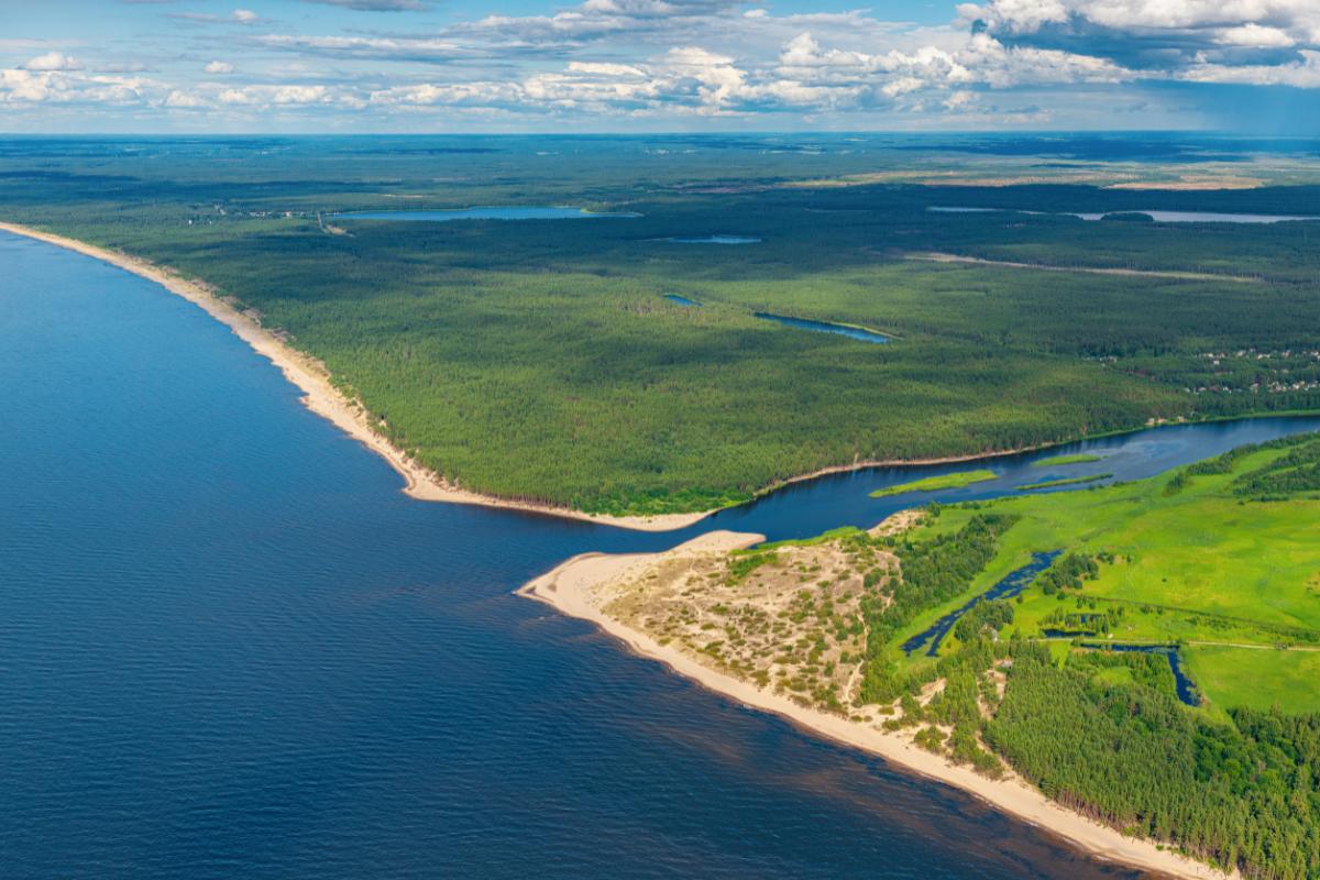 Desembocadura: qué es, tipos, cómo se forma y ejemplos - Resumen