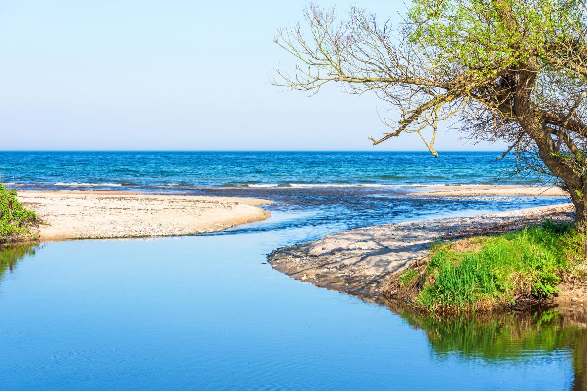 Desembocadura: qué es, tipos, cómo se forma y ejemplos - Resumen