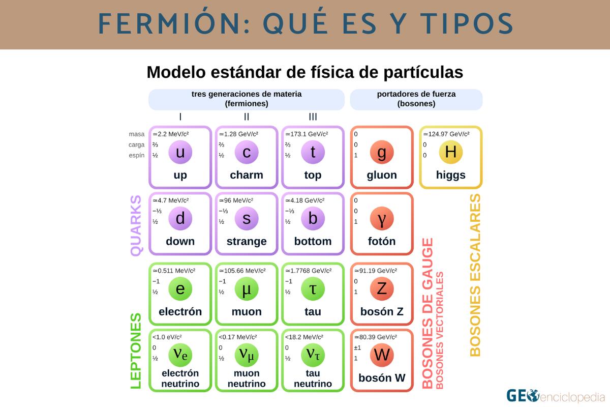 Fermión: qué es y tipos - Resumen