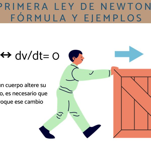 Ejemplos De Gravedad En La Vida Cotidiana Compartir Ejemplos