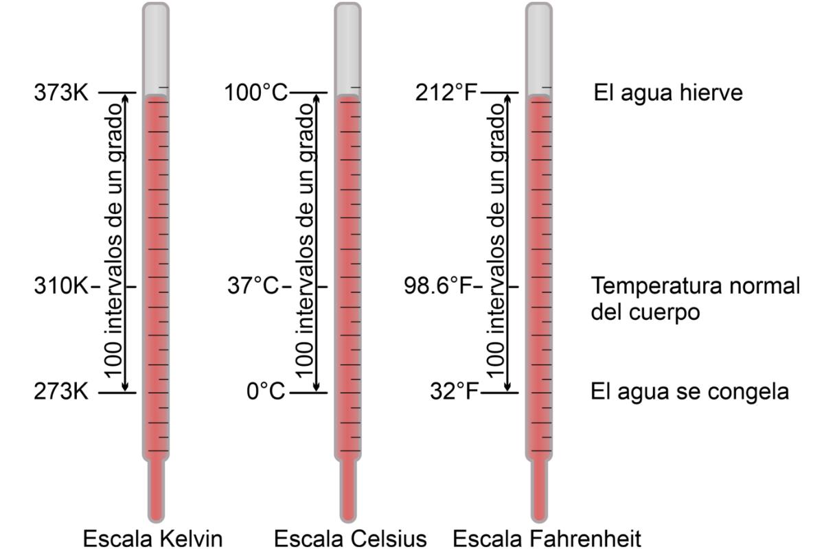 Qué es la temperatura, escalas, cómo se mide y tipos - Resumen