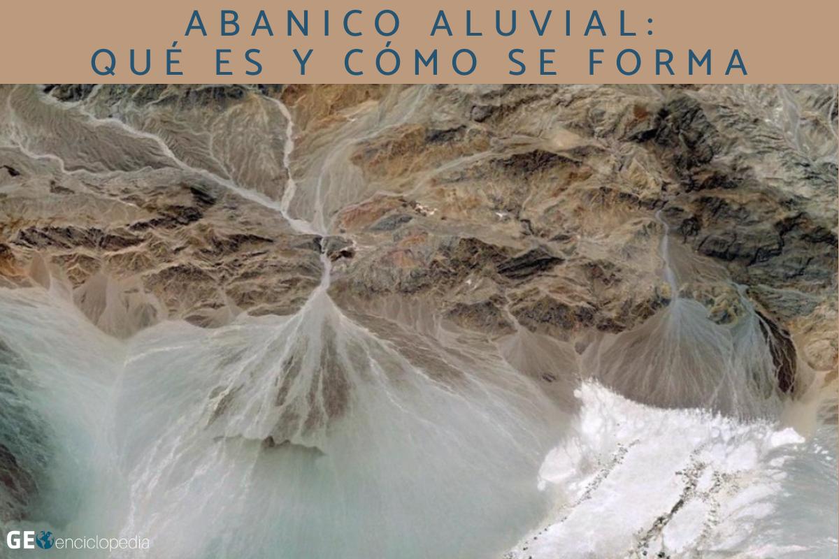 Tipos De Solo Aluvial Suelos Optimos Para El Cultivo Del Bambú Guadua