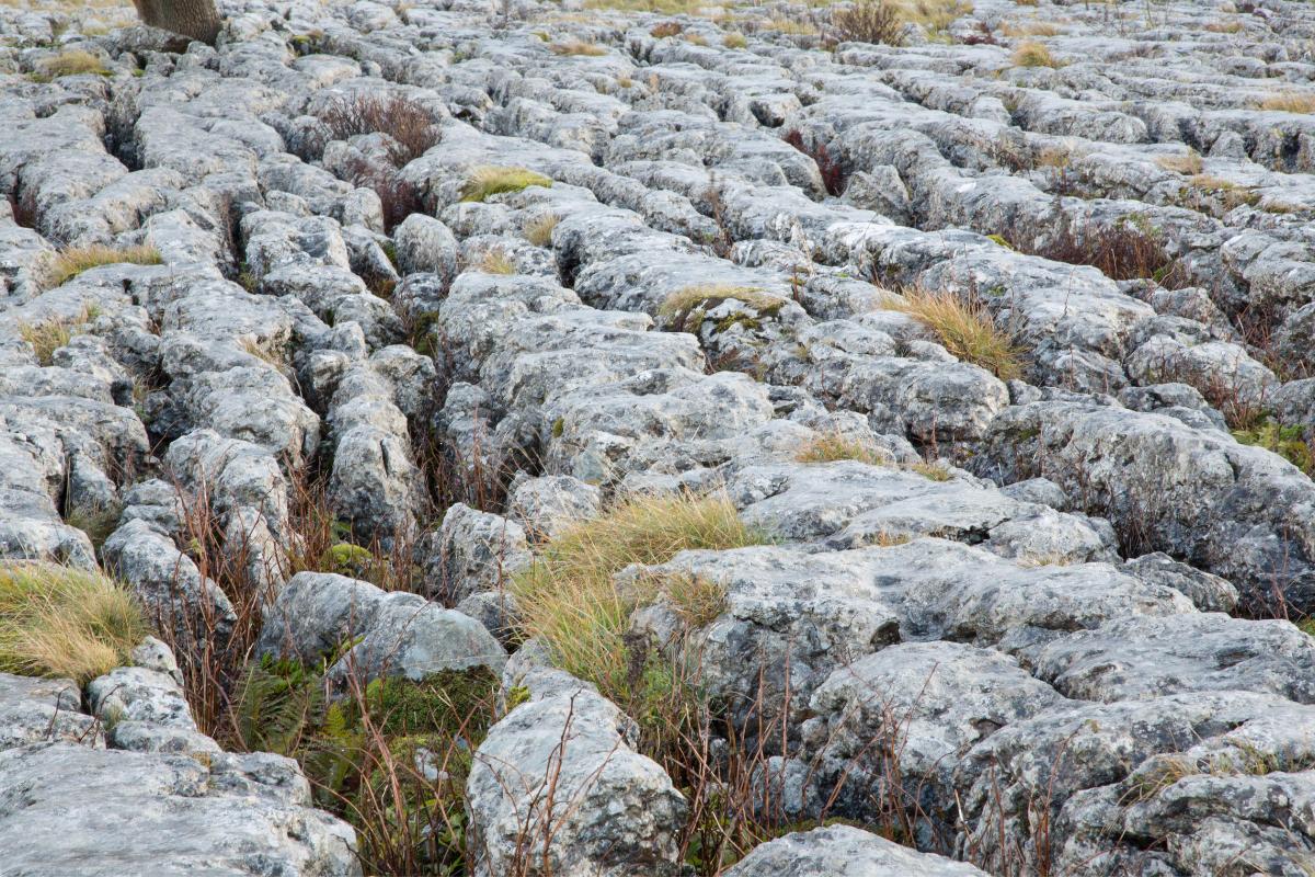 Lapiaces o lenares: qué son, formación, tipos y dónde hay - Resumen