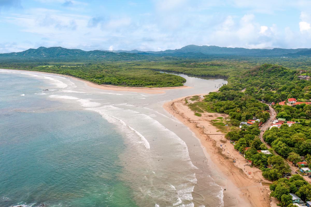 Estuarios: qué son, tipos, flora y fauna - Resumen