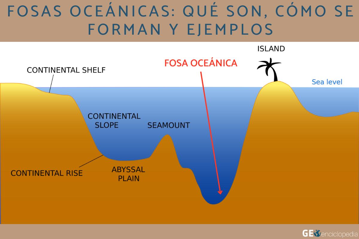 Fosas oceánicas: qué son, cómo se forman y ejemplos - Resumen