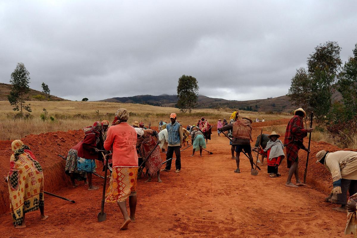 Sahel africano: qué es, países, clima, flora, fauna y conflicto actual