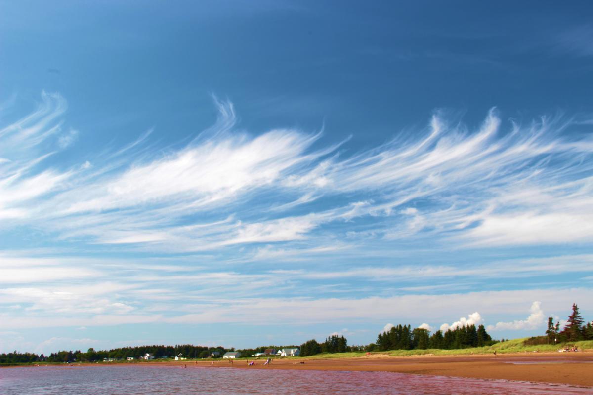 Cirros: qué son, cómo se forman, tipos y significado - Resumen