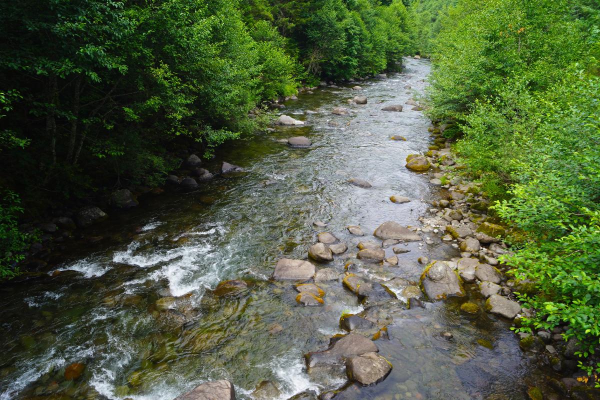 Cuenca hidrográfica: qué es, partes y cómo se forma - Resumen