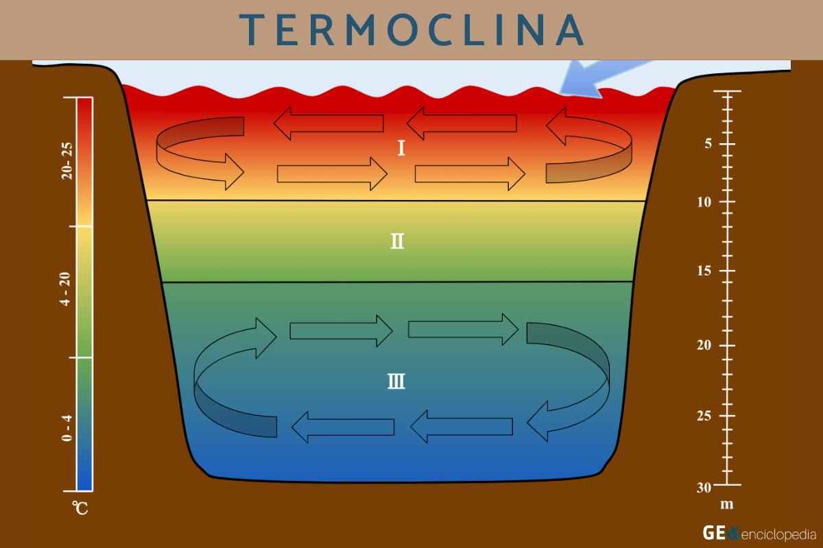 Termoclina: qué es, tipos y cómo se forma - Resumen