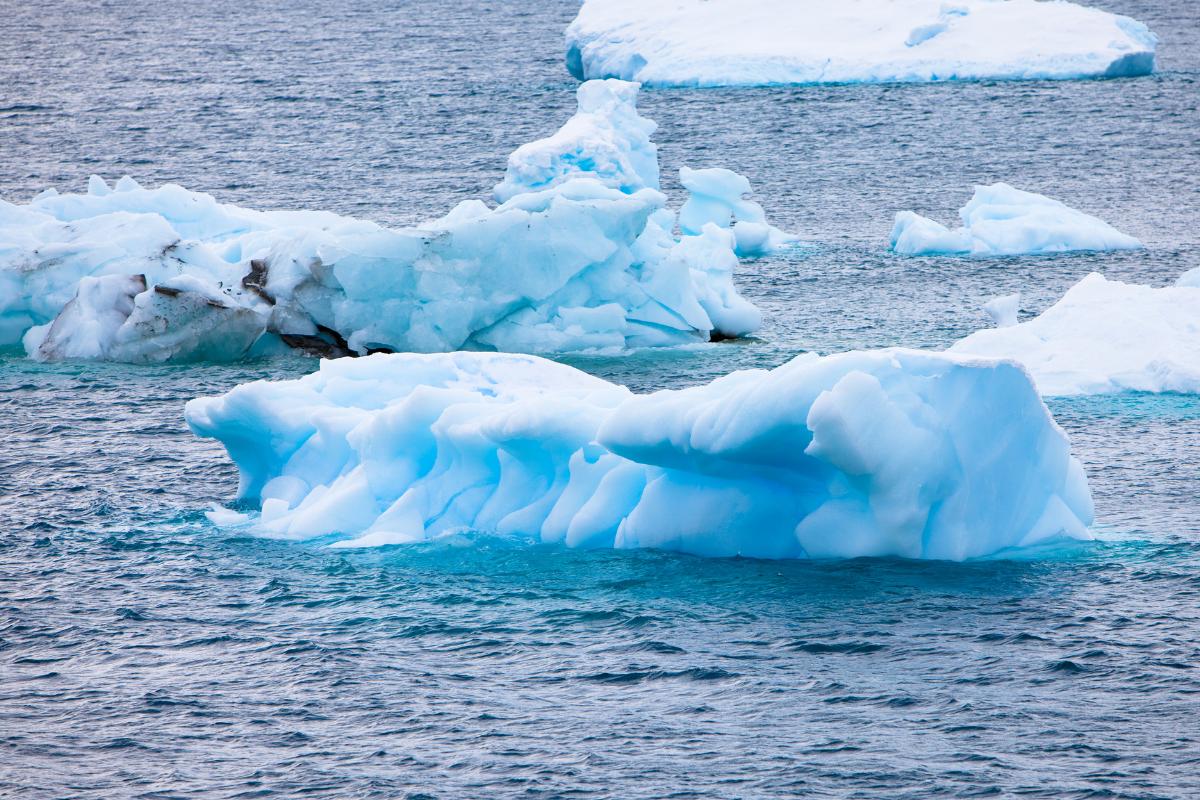 Témpano de hielo: qué es, tipos, cómo se forma y diferencia con un iceberg