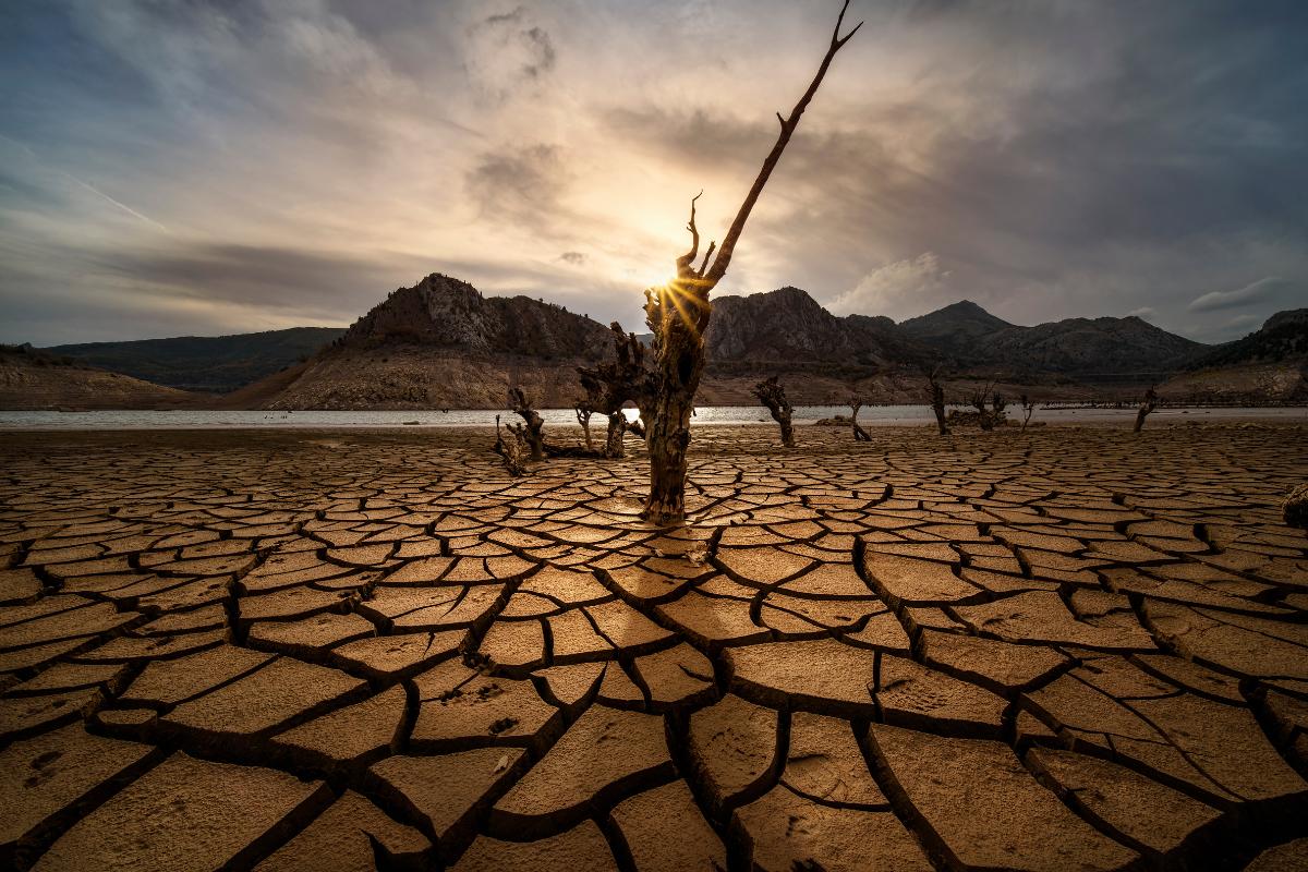 Sobreexplotación del agua: qué es, causas y consecuencias - Resumen