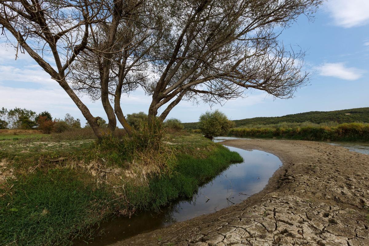 Sobreexplotación del agua: qué es, causas y consecuencias - Resumen