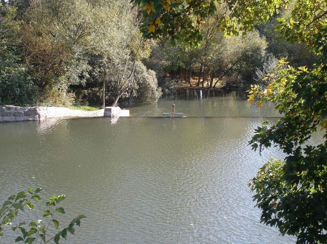 Río Arga - Características, historia, flora y fauna