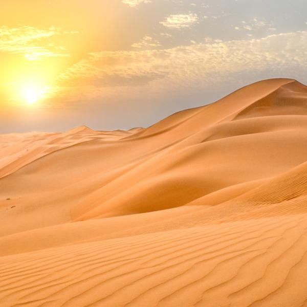 Desierto Qu Es Ejemplos Caractersticas Clima Flora Y Fauna