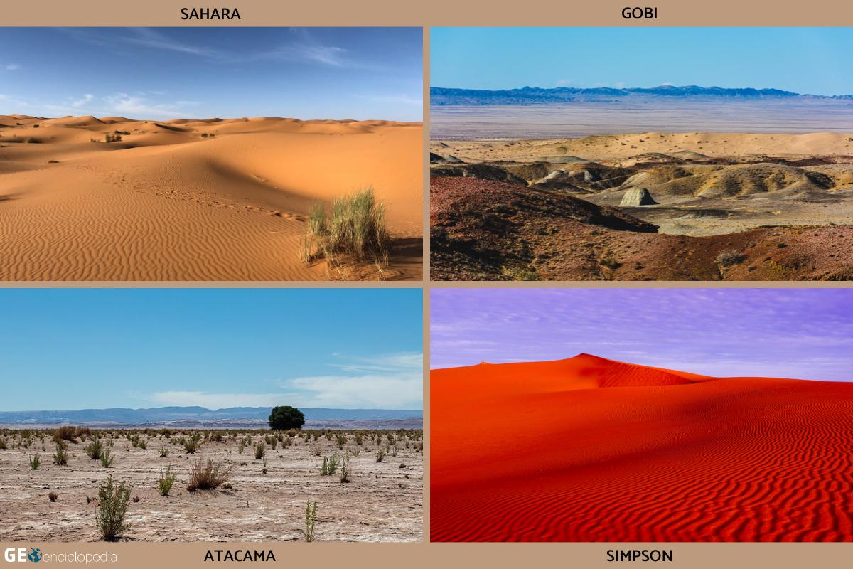 Clima desértico: qué es, características, temperatura, flora y fauna - Resumen