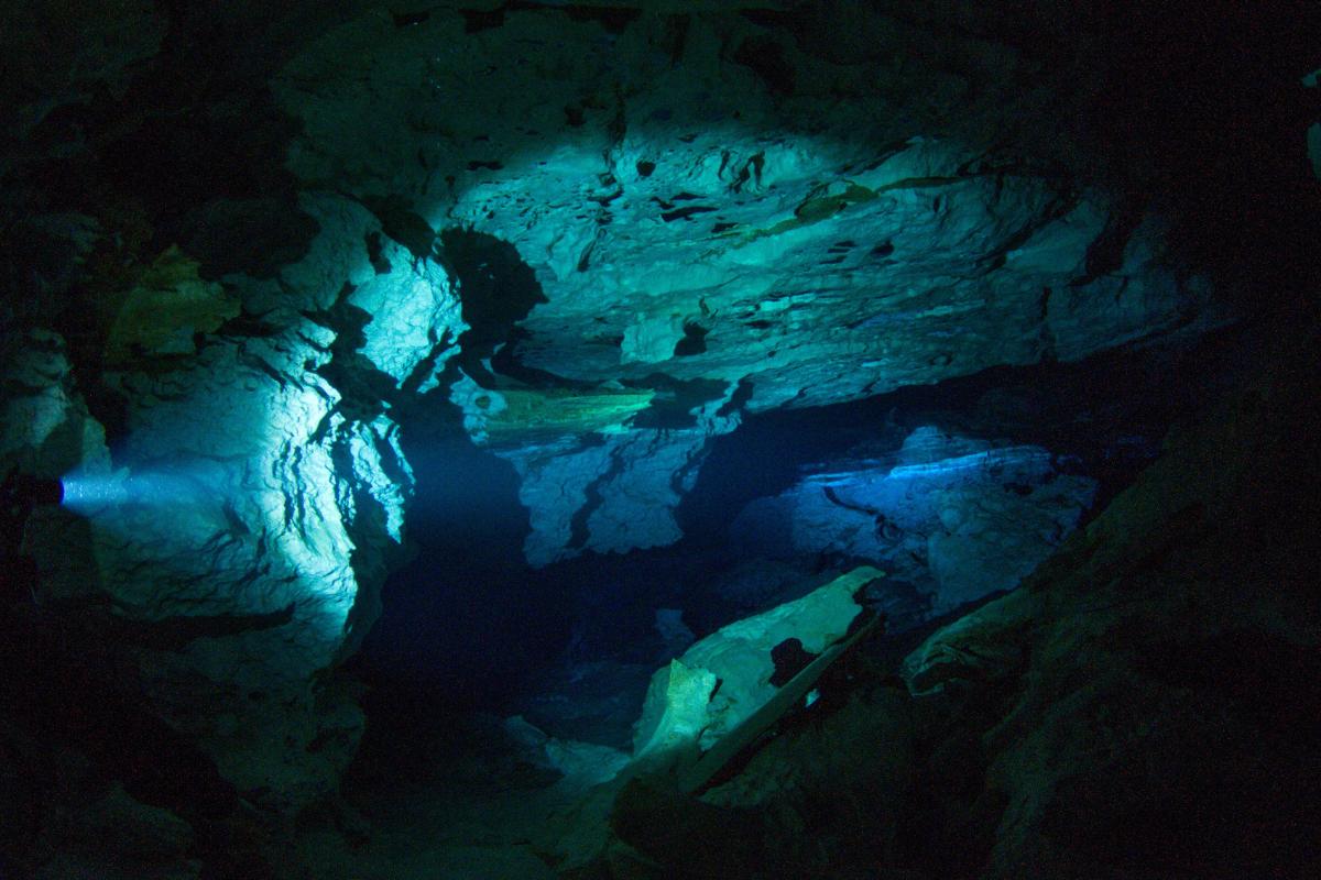 Haloclina: qué es, dónde se encuentra y tipos - Resumen