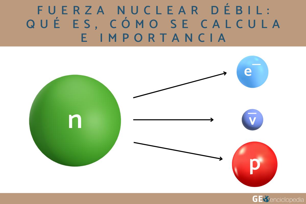 Fuerza nuclear débil: qué es, cómo se calcula e importancia - Resumen