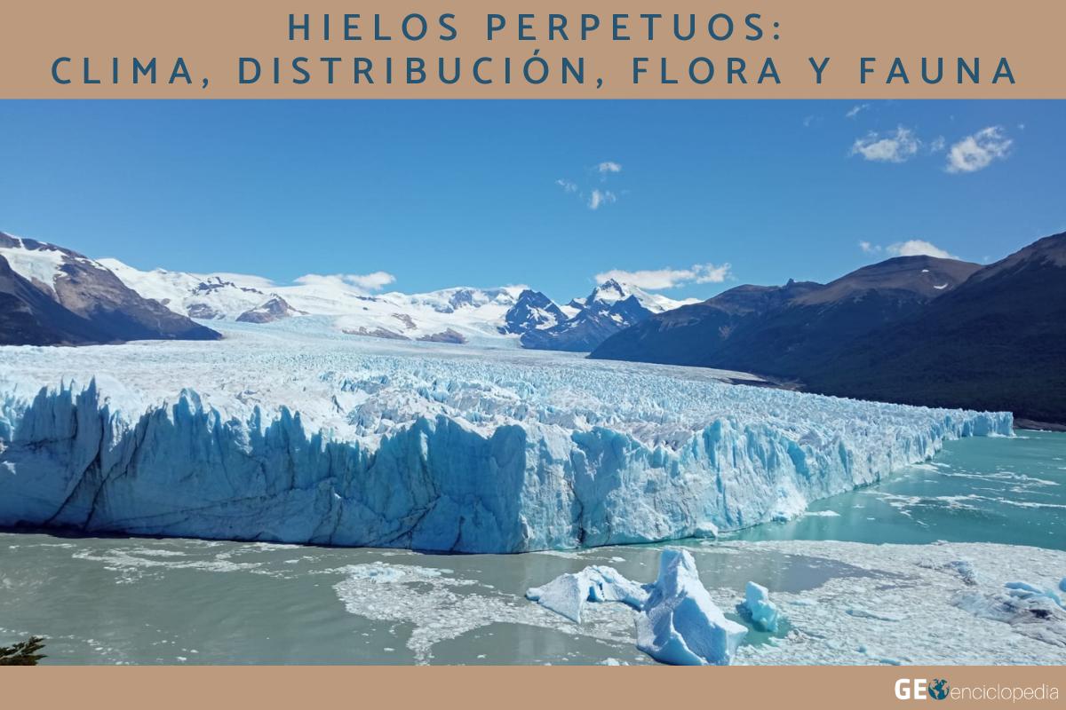 Hielos perpetuos: clima, distribución, flora y fauna - Resumen