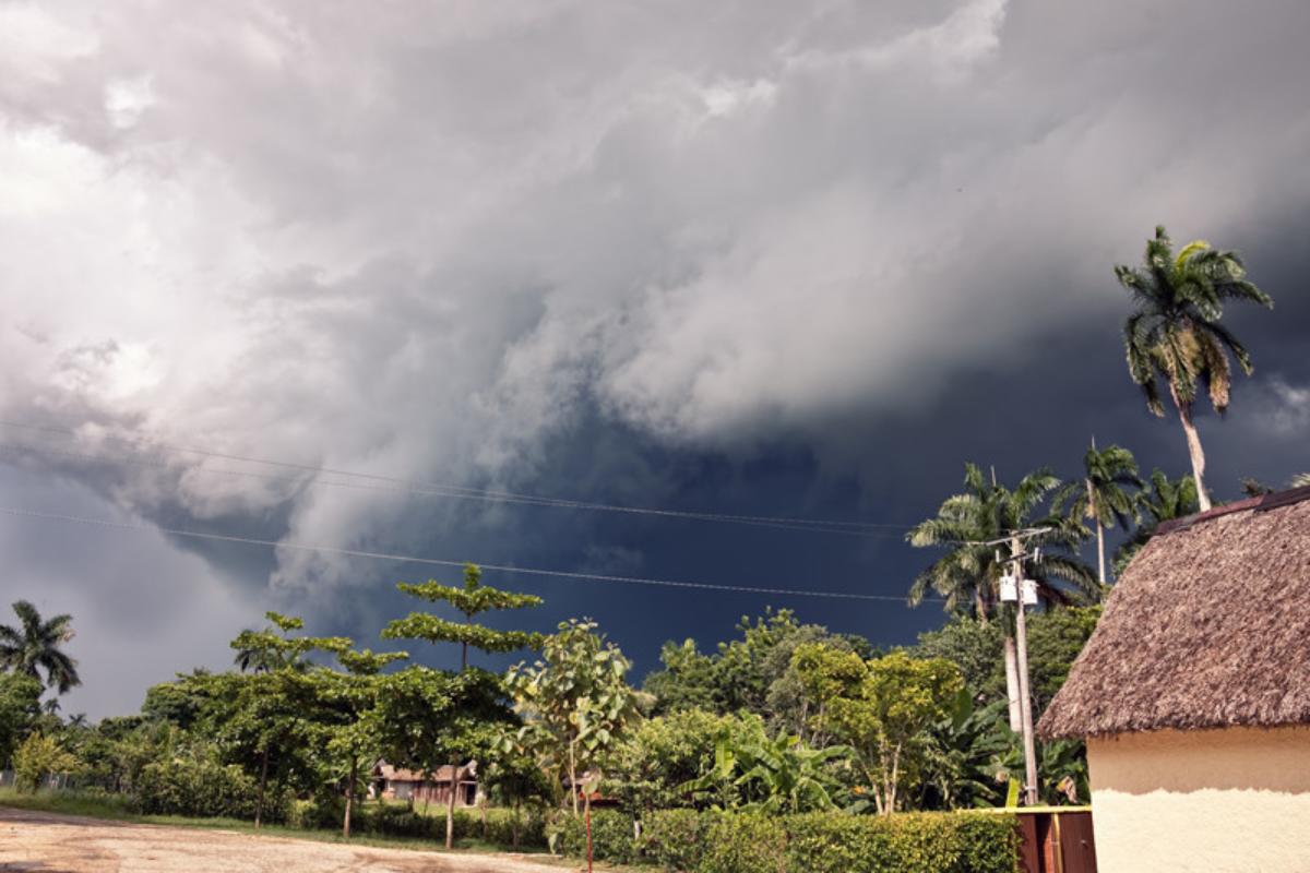 Monzones: qué son, tipos, ejemplos y consecuencias - Resumen