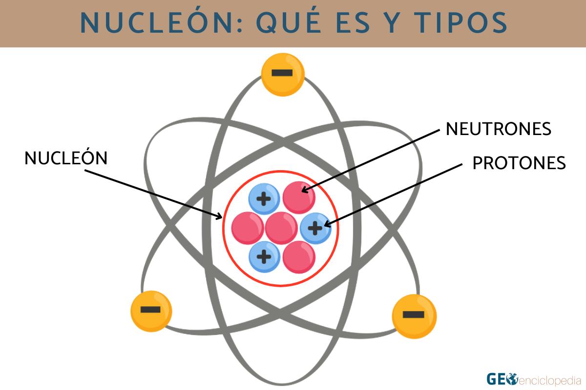 Nucleón: qué es y tipos - Resumen