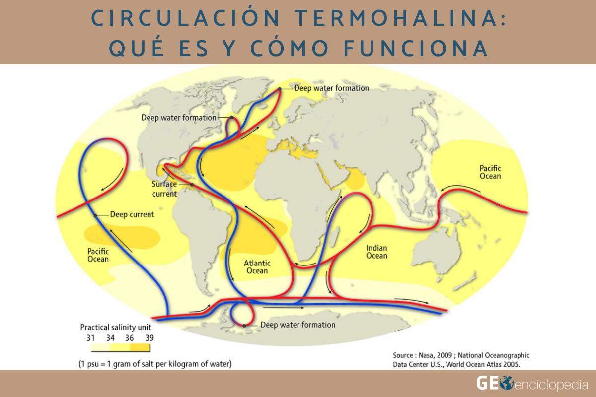 Circulación termohalina: qué es y cómo funciona - Resumen