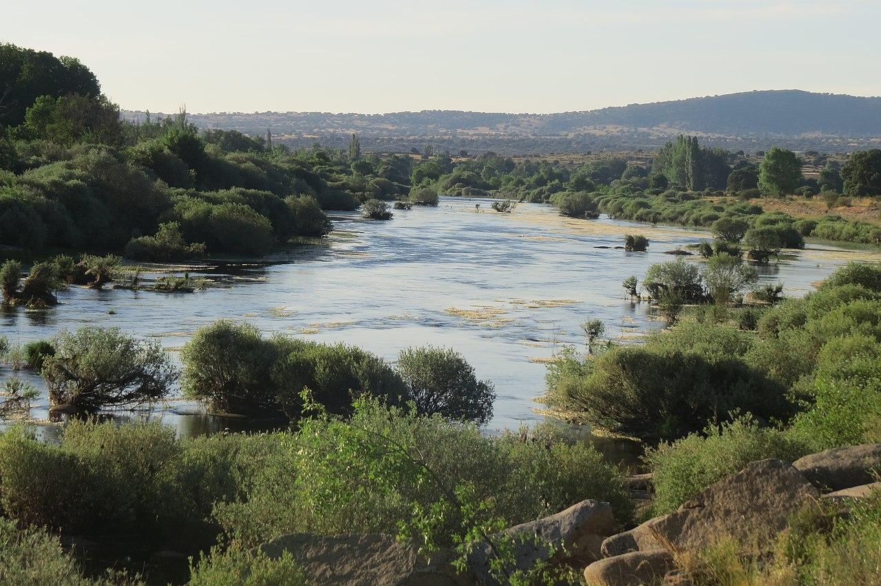 Río Tormes - Características, historia, flora y fauna