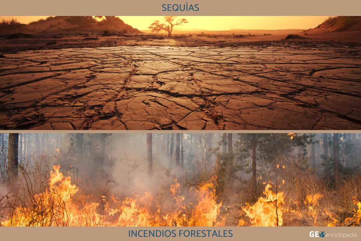 Desastres naturales: qué son, tipos, ejemplos y cómo prevenirlos - Resumen