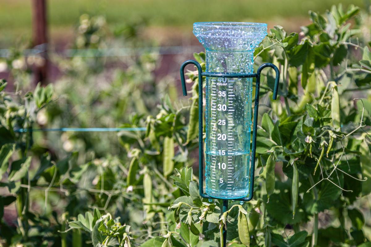 Pluviómetro: qué es, para qué sirve, cómo funciona y tipos - Resumen