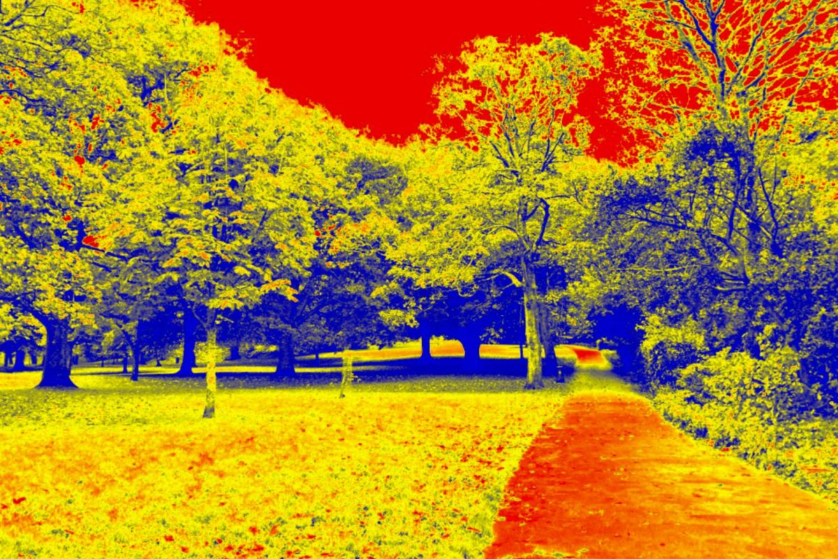 Rayos infrarrojos: qué son, características y para qué sirven - Resumen