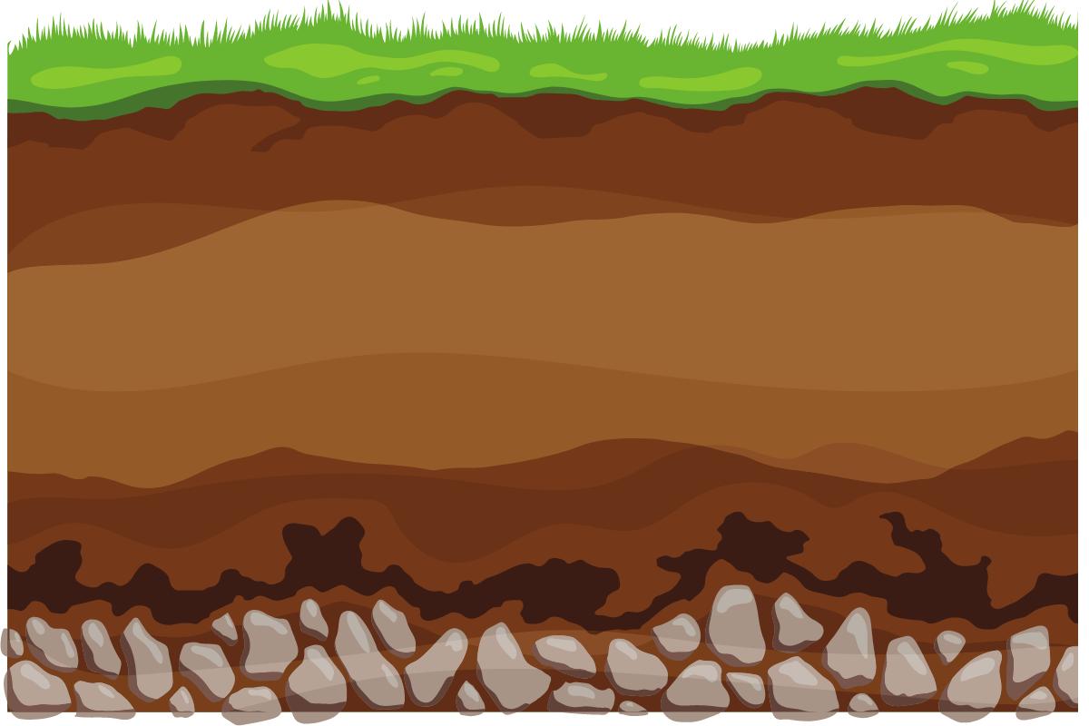 Edafología: definición, características e importancia - Resumen