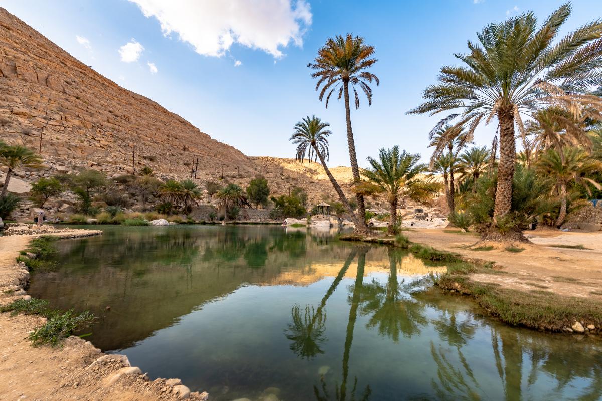 Oasis: qué es, formación y ejemplos - Resumen