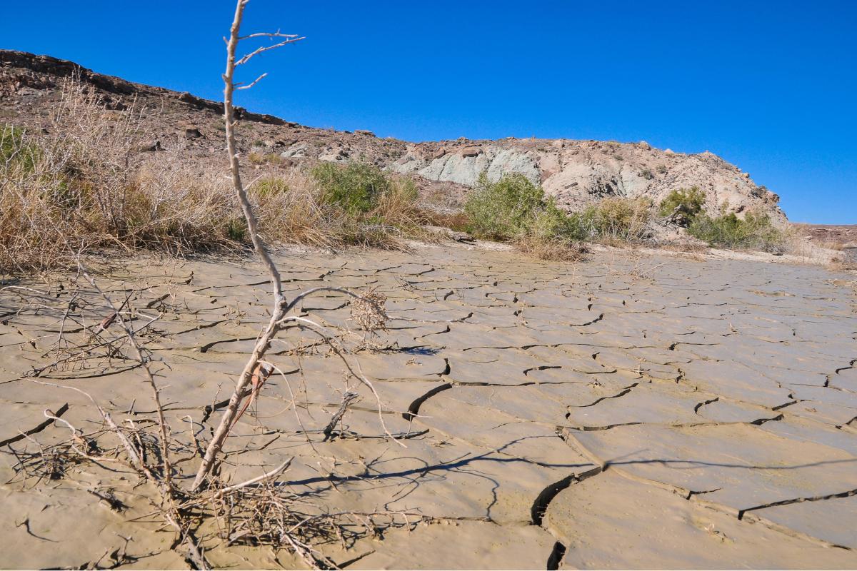 Sequía: qué es, causas y consecuencias - Resumen