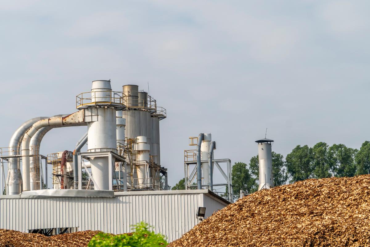 Energía biomasa: qué es, cómo se obtiene, tipos y ventajas - Resumen