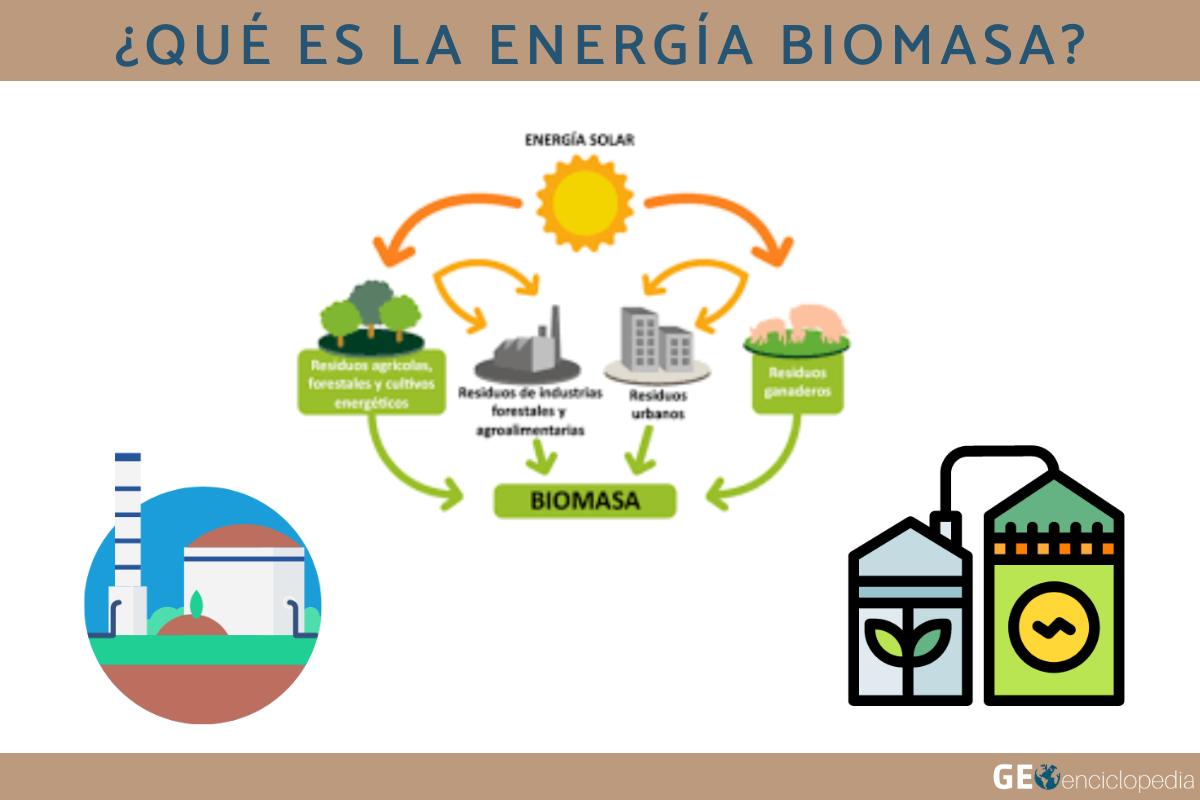 Energía biomasa: qué es, cómo se obtiene, tipos y ventajas - Resumen