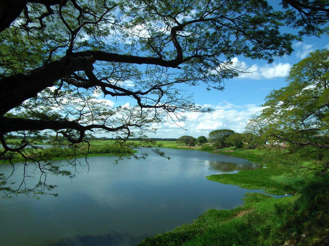 55 ríos más importantes de Venezuela - Nombres y fotos