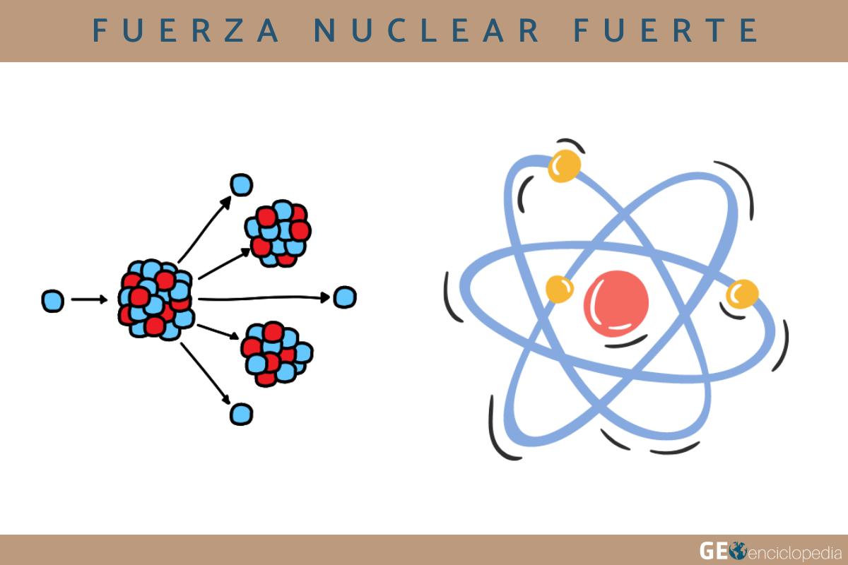 Fuerza nuclear fuerte: qué es, cómo se calcula e importancia - Resumen